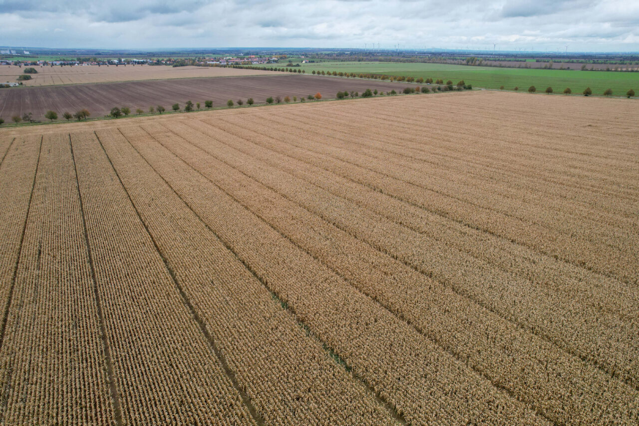 Long-term improvements with Controlled Traffic Farming – An interview ...