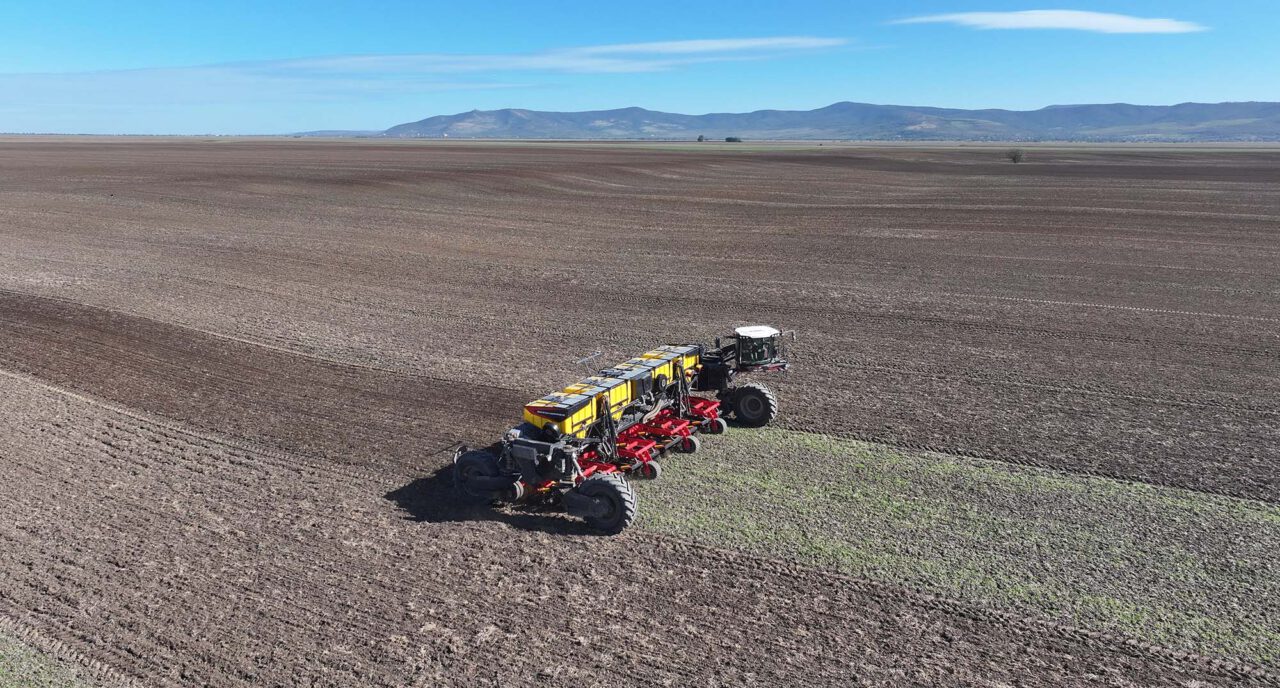 The world’s largest cultivator | NEXAT